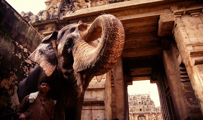 This is Why You Must Visit the Former Capital of Chola Dynasty ...