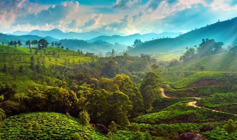 It’s Time to Visit The Lush, Green Forests of The Western Ghats | India.com