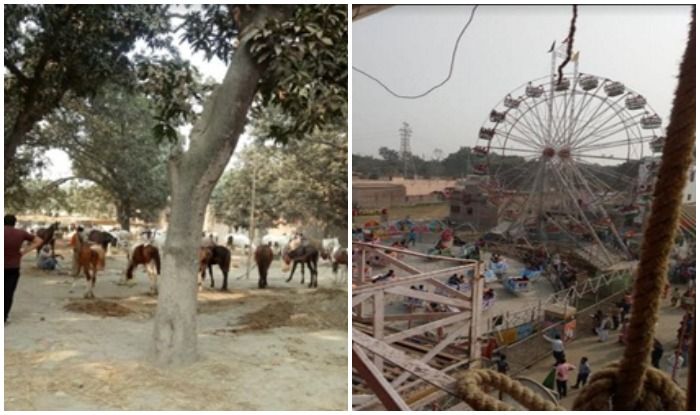 सोनपुर मेला : एशिया के सबसे बड़े पशु मेले में जानवरों की किल्लत, लोगों ...