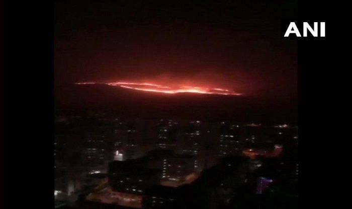 Mumbai: Major Fire Breaks Out in Forest Area Near Goregaon Film City ...
