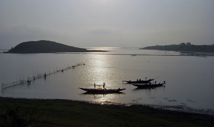 A Trip to Chilika Lake is a Must if You Want to Indulge in Dolphin ...