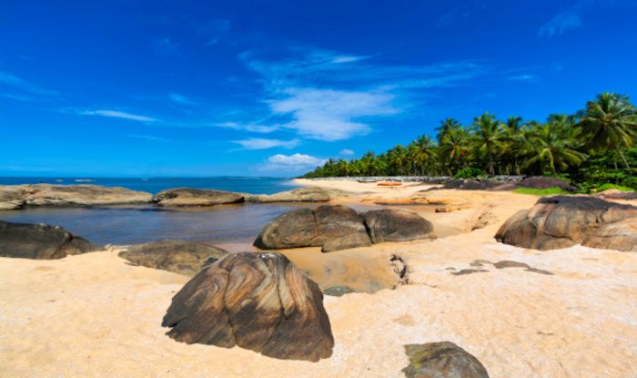 To Enjoy The Archaic Charm of Kozhikode, Head There During The Winters ...