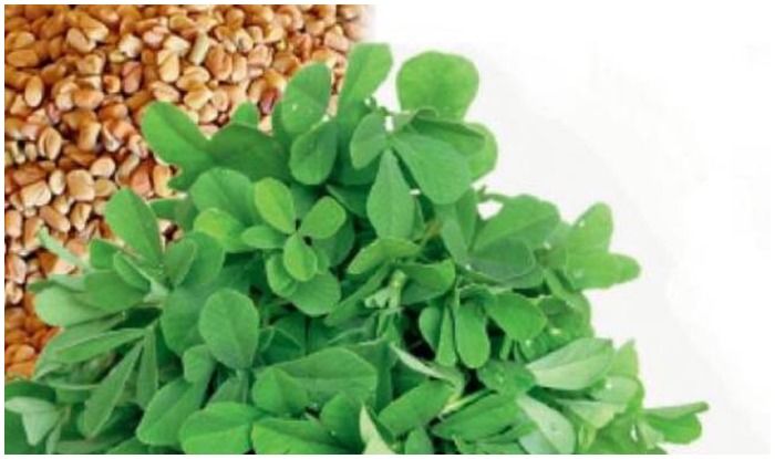 Methi Saag Benefits: कब्ज और डायबिटीज से दूर रखेगा मेथी का साग, जानें ...