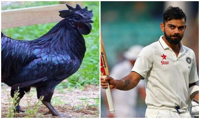 MP Agri-Science Centre Advices Virat Kohli And Team India to Ditch ...