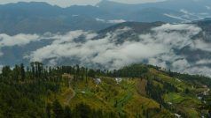 Kufri Tourism | Kufri Tourist Places | Kufri Travel Guide | Kufri ...