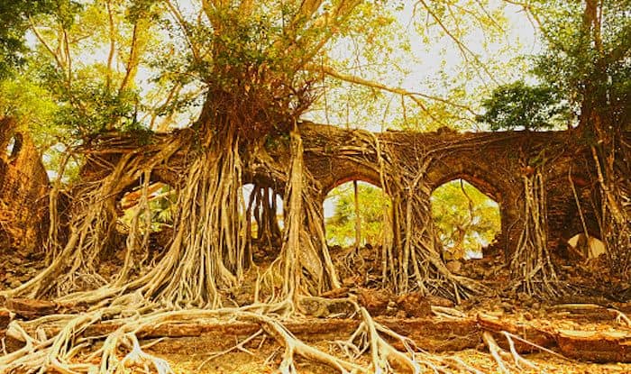Ross Island’s Historic Ruins Are Worth a Visit When in Andamans | India.com