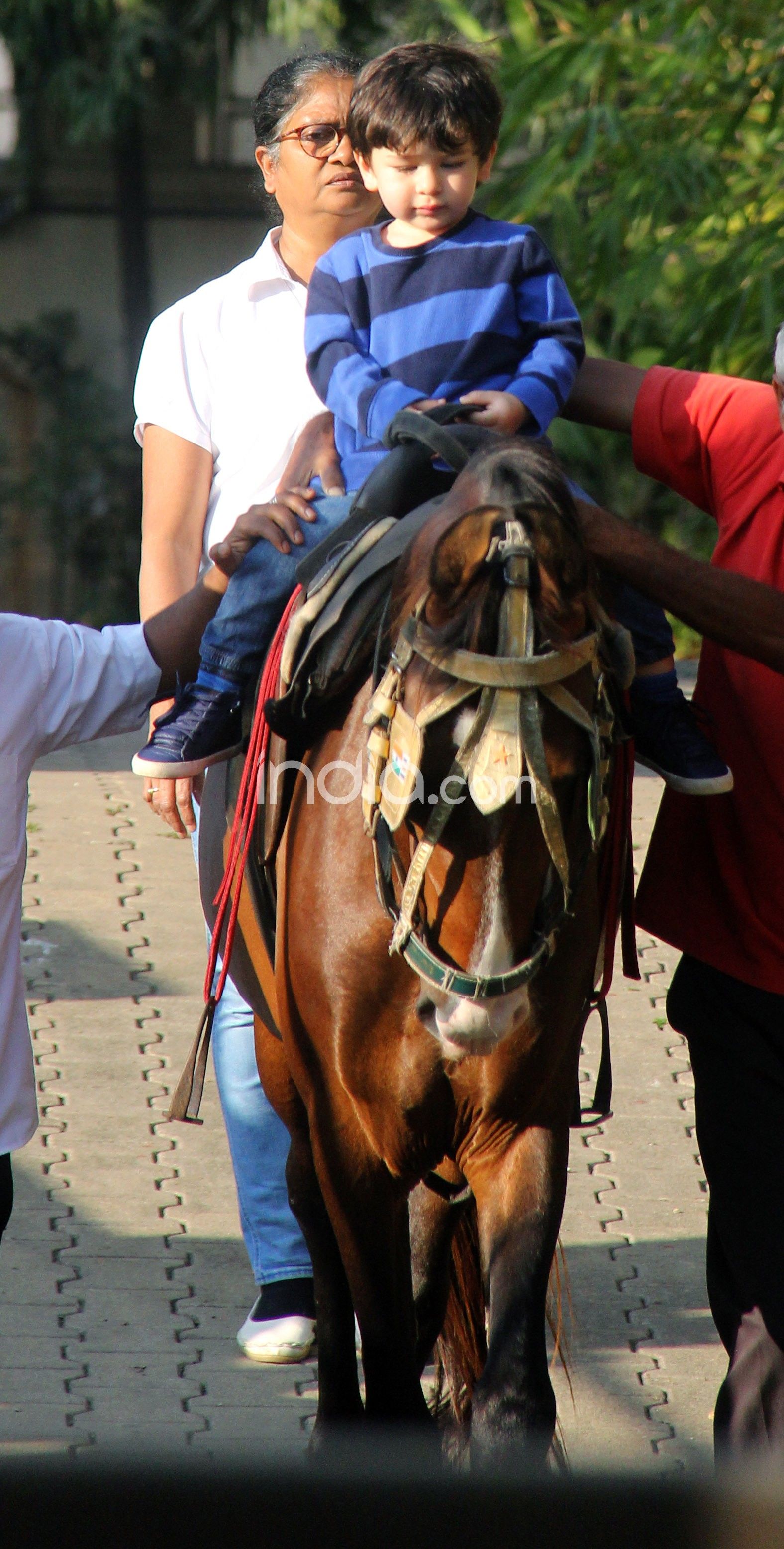 Taimur Ali Khan's Too Cute to Handle Horseback Ride Pictures Will Make ...