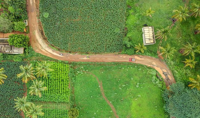 Karnataka’s Newly Discovered Eco-Trails Will be Open to Trekkers by ...