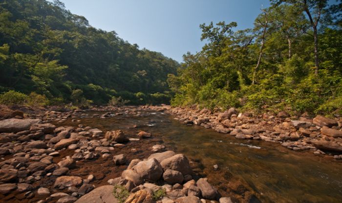 Maredumilli: Unwind in The Lap of Nature in The Andhra Village | India.com