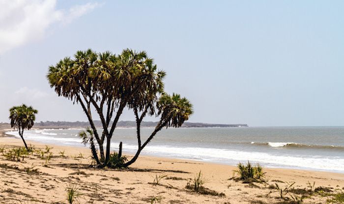 Top Beaches of Daman And Diu That Make For a Tranquil Getaway | India.com