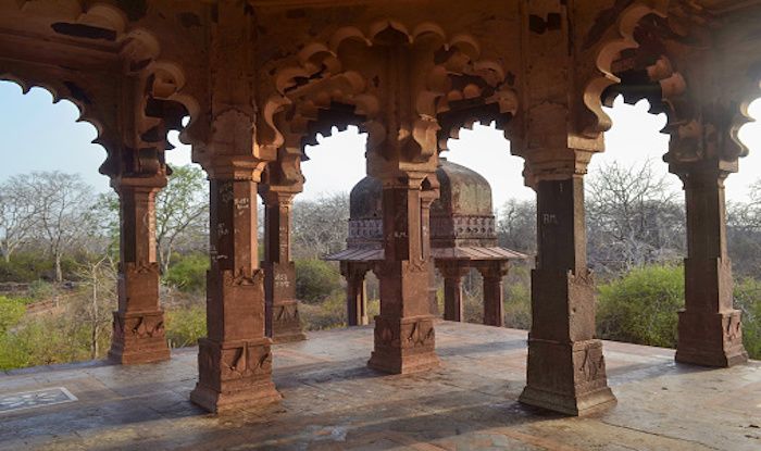 What to do And See When in Ranthambore | India.com