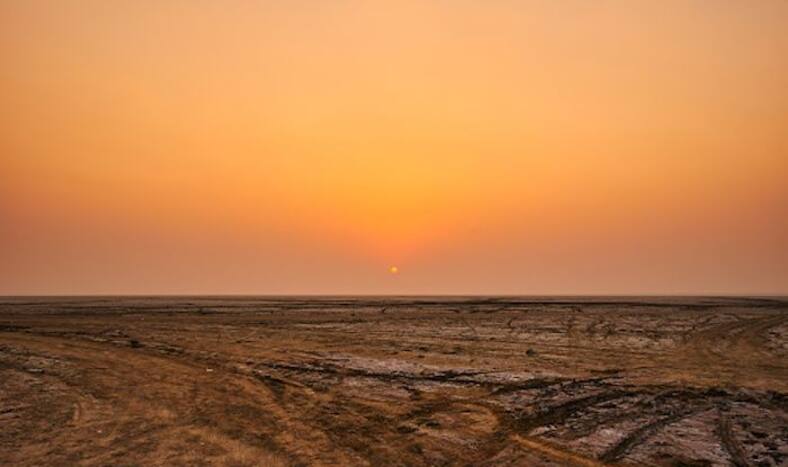 Why a Trip to Sambhar Lake is a Must on a Visit to Jaipur | India.com