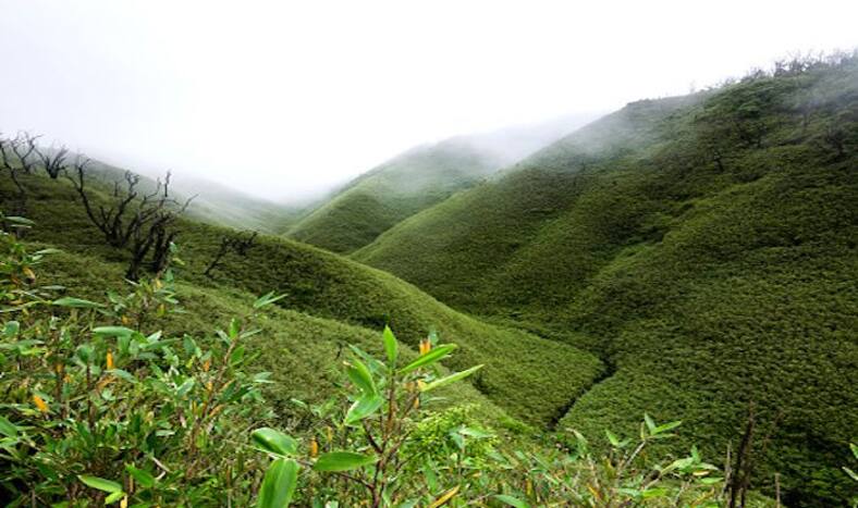 What to See And do in The Quaint Village of Tuophema | India.com
