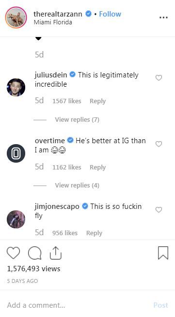 Viral Video of Chimpanzee Scrolling Instagram Feed Like a Pro Will Make ...