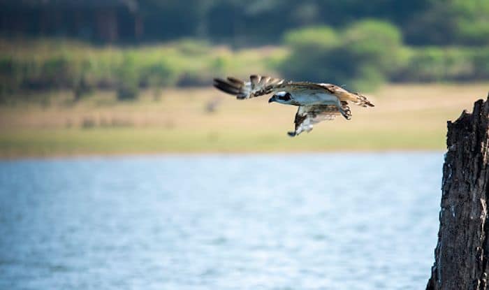 Why Visit The Nondescript Town of Lakkavalli in Karnataka | India.com
