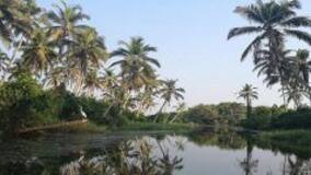 Poovar Tourism | Poovar Tourist Places | Poovar Travel Guide | Poovar ...