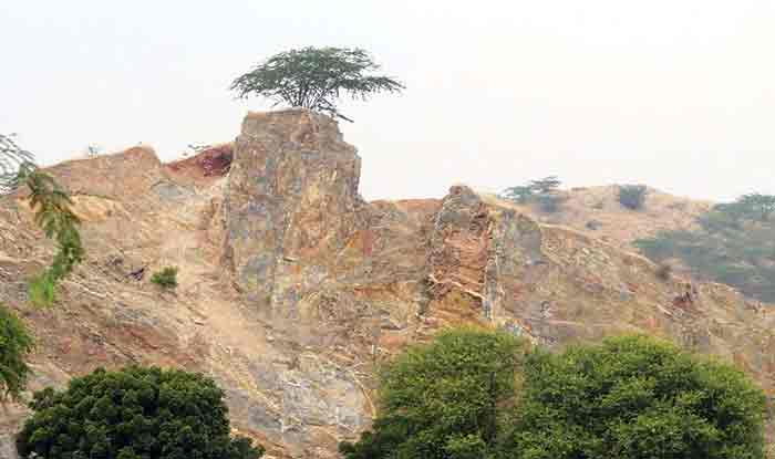 देवता वाली पहाड़ी पर सरकार ने डाली 'बुरी नजर' तो विरोध में उतरे आदिवासी