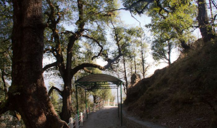 Why You Must Take a Solo Trip to Dhanaulti This June | India.com