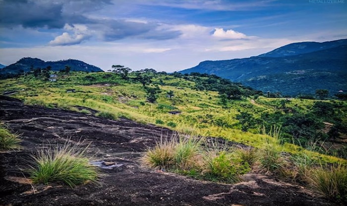 Marayur: Of Sandalwood Forests And Rock Paintings | India.com