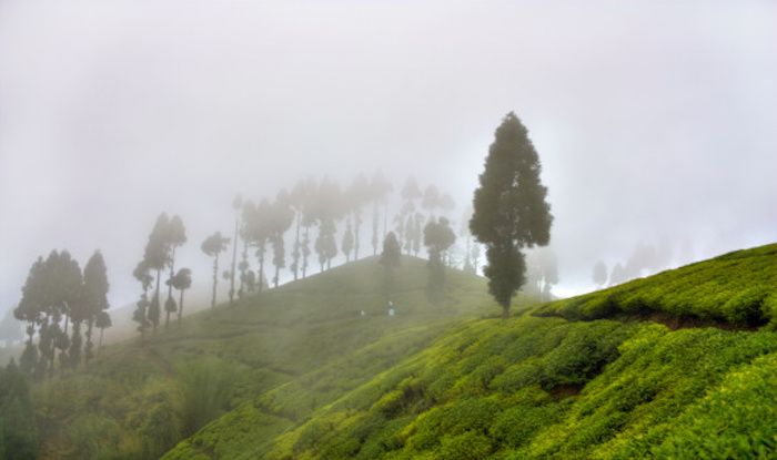 Takdah: A Perfect Hilly Retreat For Monsoons in Bengal | India.com