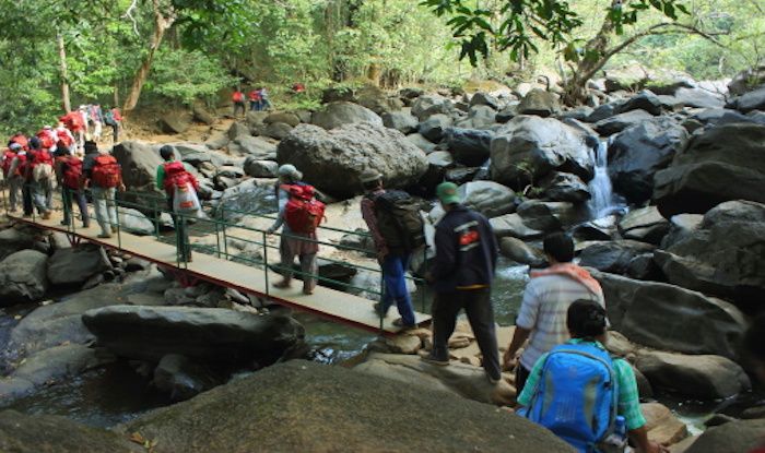 What to Expect on a Monsoon Trek to Hukyachi Khadi in Goa | India.com