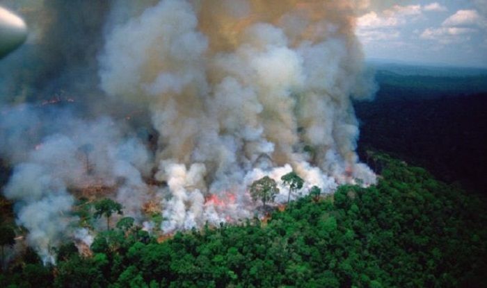 Wildfires Engulf Brazil’s Amazon Rainforest, Emergency Declared | India.com