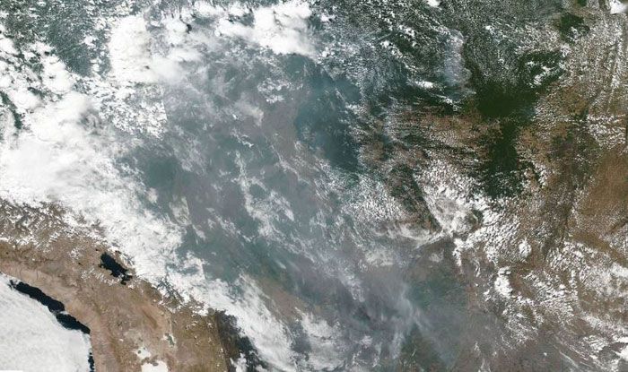 Amazon Burning at Record Rate; Here is How You Can Help Slow Deforestation