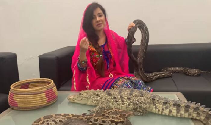 Pakistani Singer Fined For Threatening PM Modi With Reptiles ...