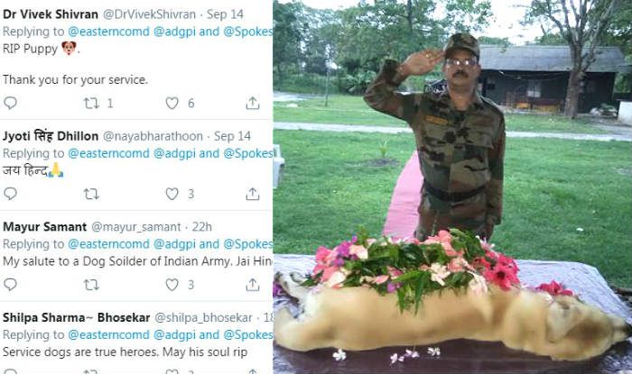 RIP, Dutch! Indian Army Pays Tribute to Their Brave Service Dog ...