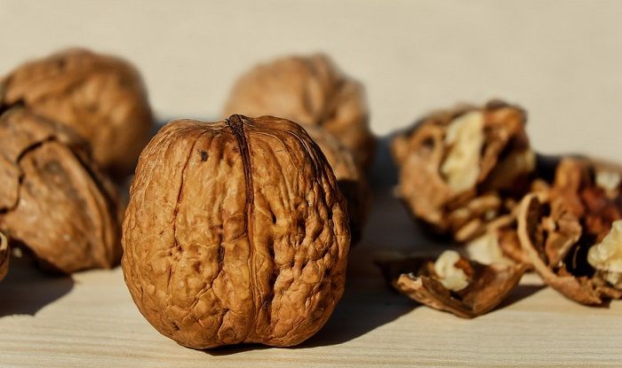Handful of Walnuts a Day Can Keep Doctors Away