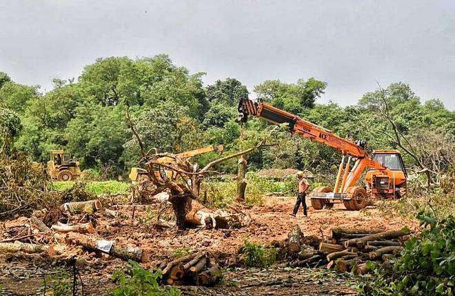 Aarey Colony, Aarey Forest, Mumbai Metro