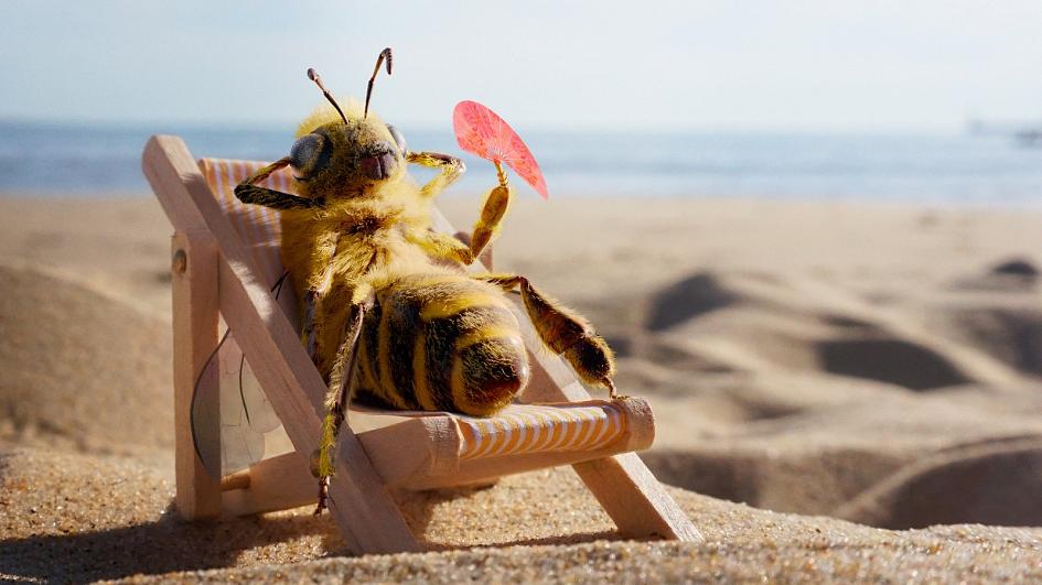 Creating a Buzz! How World’s First Bee Influencer Is Using Instagram to ...