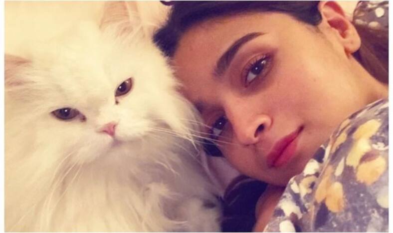 Alia Bhatt, Alia Bhatt's cat Edward, RRR, Takht, Sadak 2, Brahmastra,