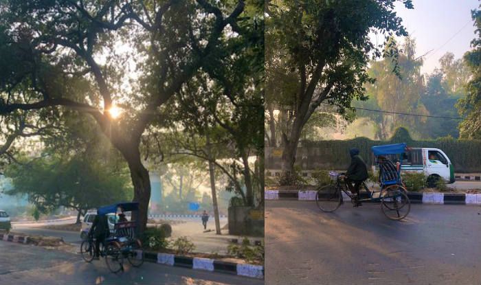 Rickshaw Puller Wraps a Stray Dog in Blanket And Rides Across Delhi to ...