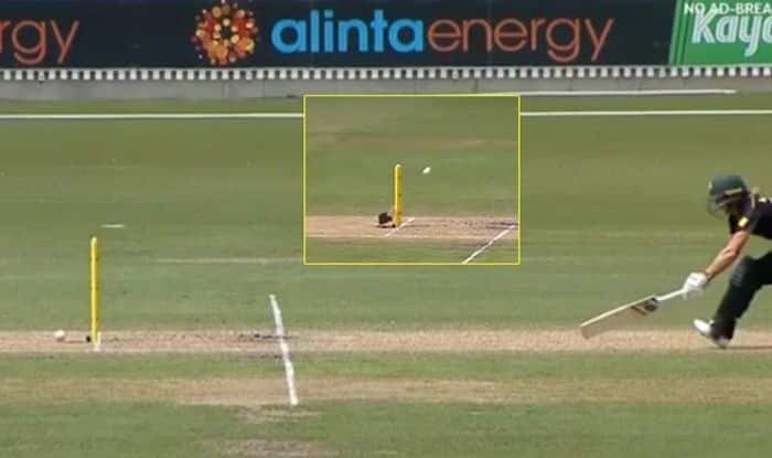 Bizarre! Stump Mic Blocks Run-out of Meg Lanning During India Women vs ...