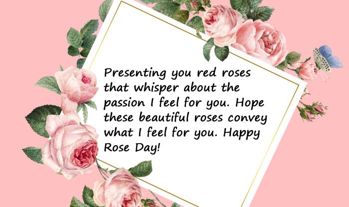 Rose Day 2020: Romantic Wishes, WhatsApp Messages, Facebook Status ...