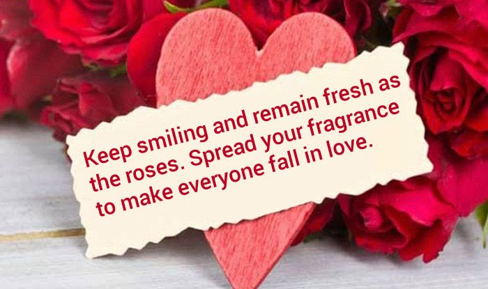 Rose Day 2020: Romantic Wishes, WhatsApp Messages, Facebook Status ...