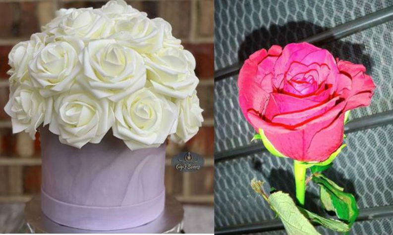 Happy Rose Day 2020: Types of Roses and Their Meanings Valentine Day ...