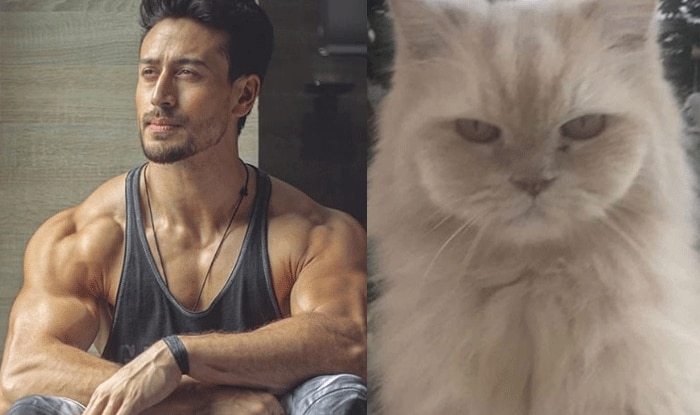 Tiger Shroff Posts Heartfelt Note After His Cat JD Passes Away | India.com