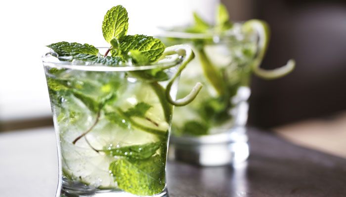 Mojito Recipes: गर्मियों में घर पर ट्राई करें ये 5 आसान मोहितो रेसिपी