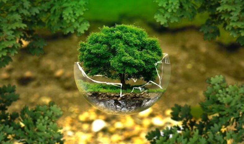 Earth Day 2020: Things You Can do to Help Save Our Planet