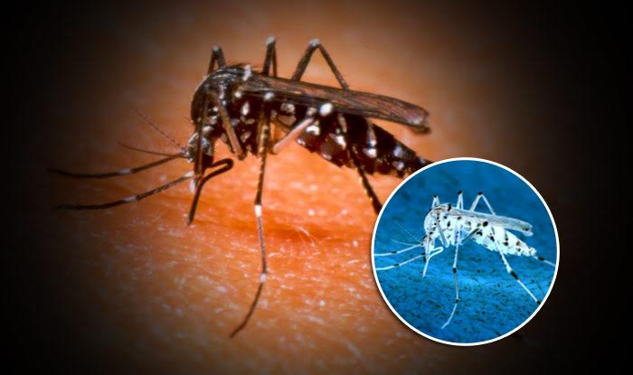 Watch Out For These Dengue Symptoms And Prevent The Viral Disease From ...