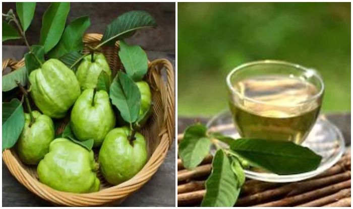 Benefits Of Guava Leaf Tea: डायबिटीज से लेकर मुंहासे तक के लिए फायदेमंद ...