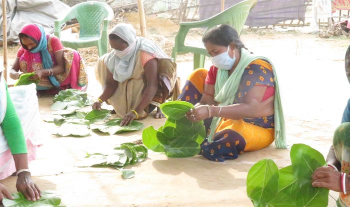 Tribal Families in Jharkhand Earn Livelihood by Collecting, Selling ...