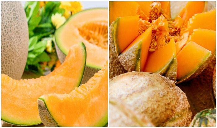 How to buy Kharbooja: खरबूजा खरीदते हुए इन आसान Tips का रखें ध्यान ...