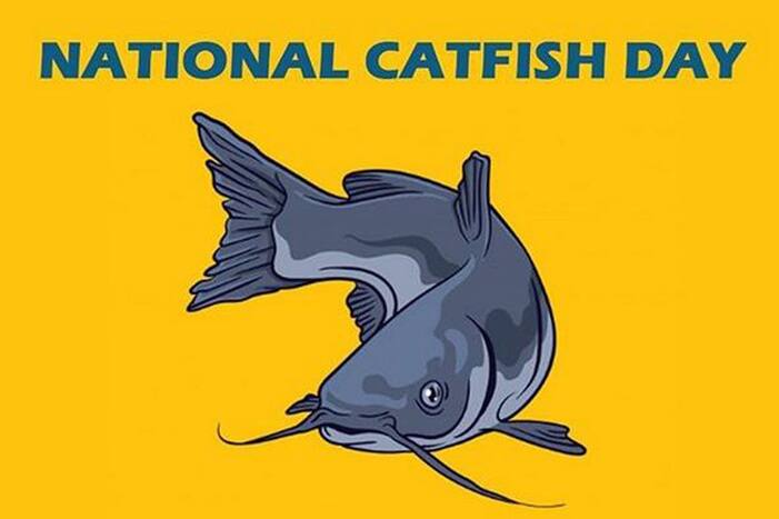 National Catfish Day 2020: Read to Know How This Fish Came to be ...