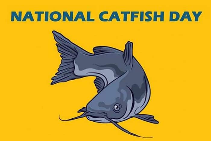 National Catfish Day 2020: Read to Know How This Fish Came to be ...
