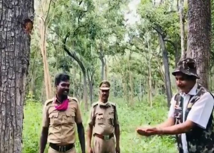 Viral Video: पेड़ पर मारा चाकू, नल की तरह बहने लगा पानी, देख लोग हैरान ...