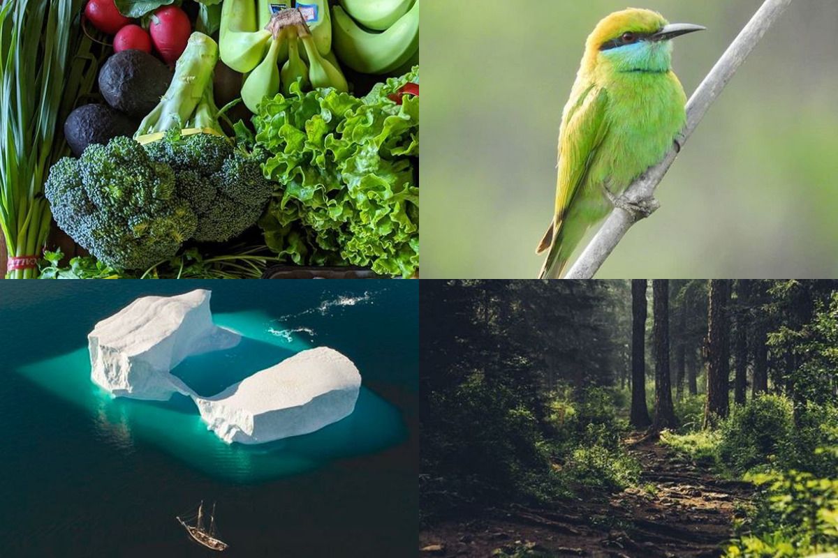 World Environment Day 2020: Here is What You Can do to Help The Environment