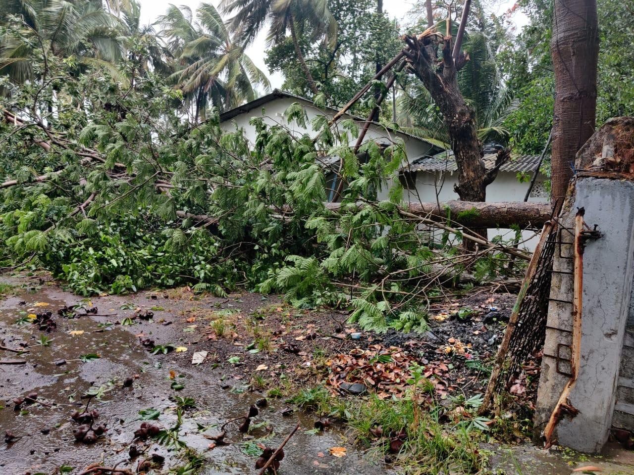 Cyclone Nisarga in Here: 5 Reasons Why Nisarga is Particularly Worrying ...